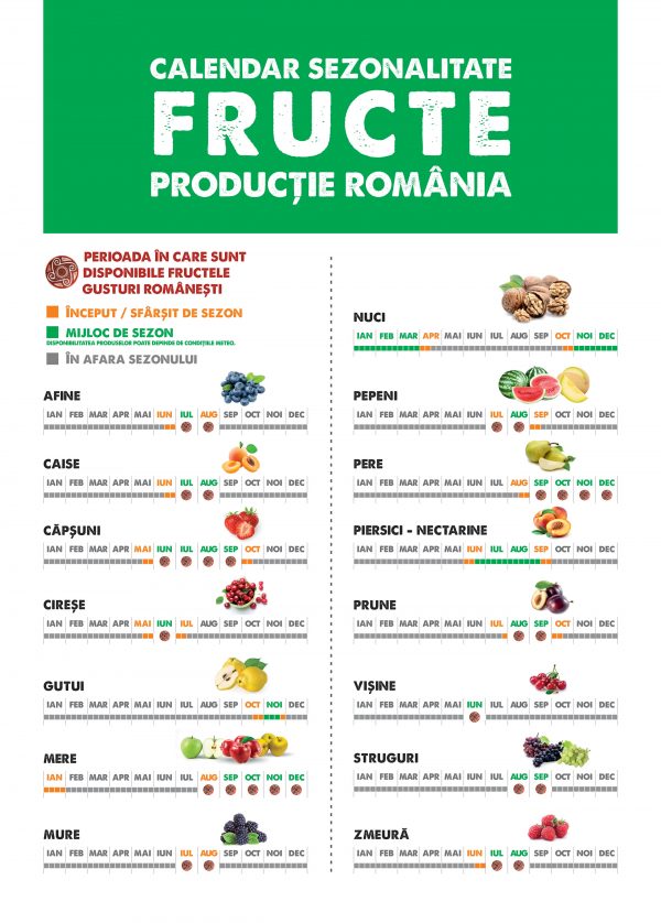 De ce să alegem fructe și legume locale și de sezon? | DOER.RO